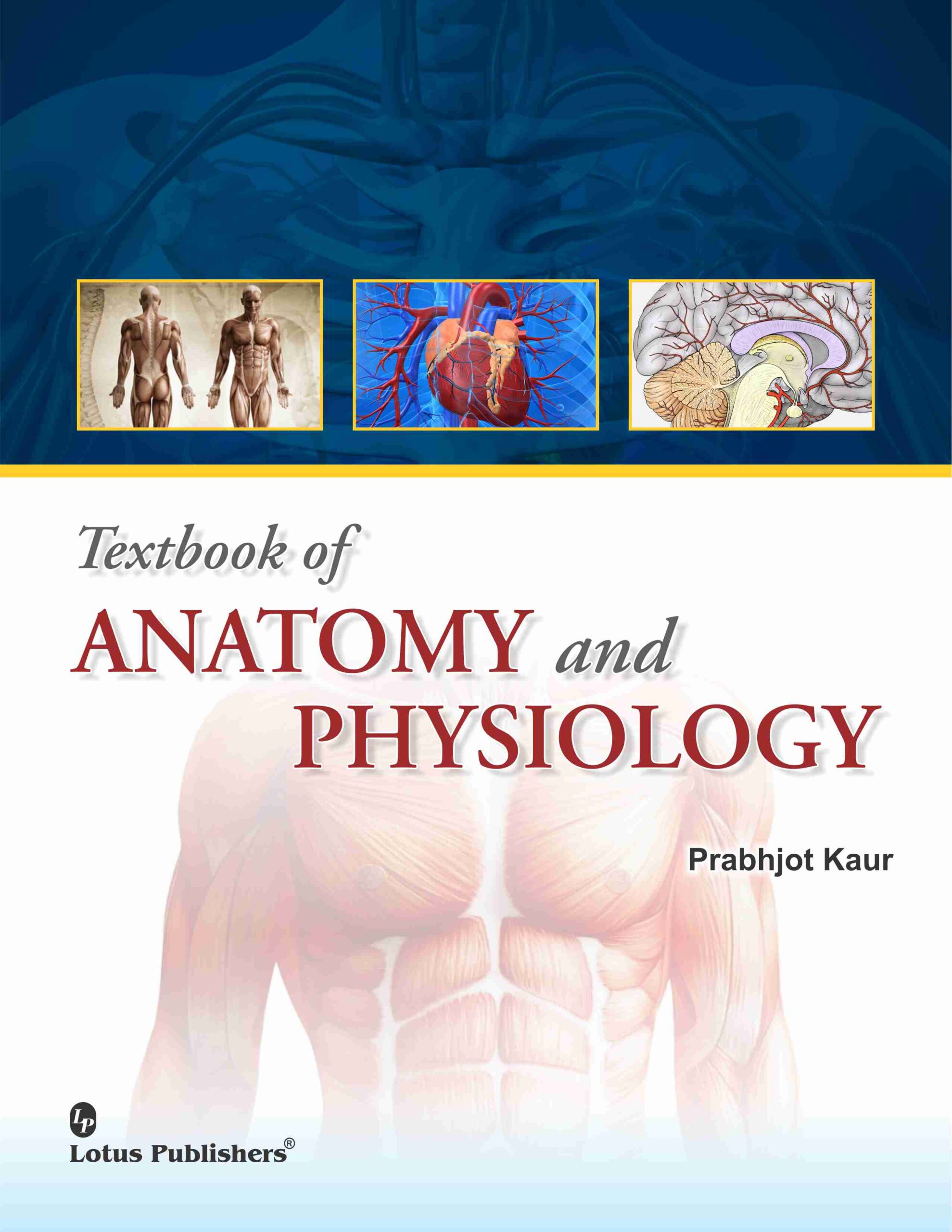 Anatomy Textbook