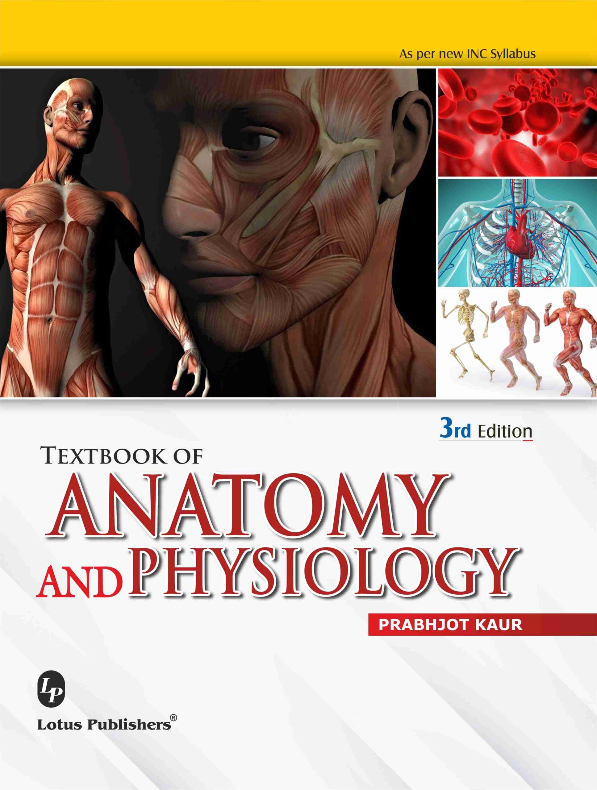 Anatomy And Physiology Logo